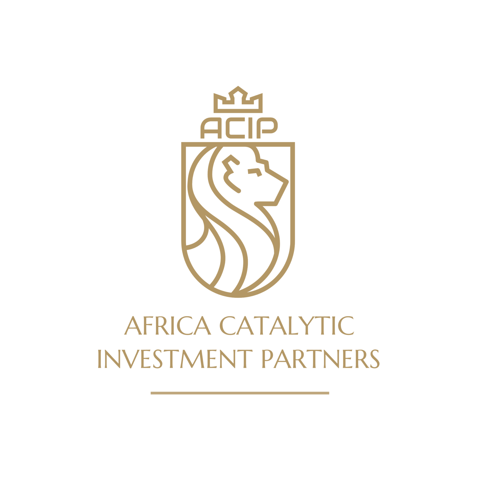 ABOUT US - Africa Catalytic Investment Partners (ACIP)